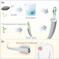 An all-in-one optical fiber probe leveraging black phosphorus/gold ...