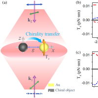 Chirality-assisted local transverse spin angular momentum transfer for ...