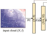 基于深度全局信息融合的复杂山区机载点云滤波 | 激光与光电子学进展 -- 中国光学期刊网