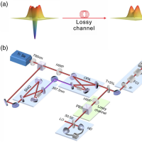 Quantifying quantum coherence of optical cat states | Photonics ...