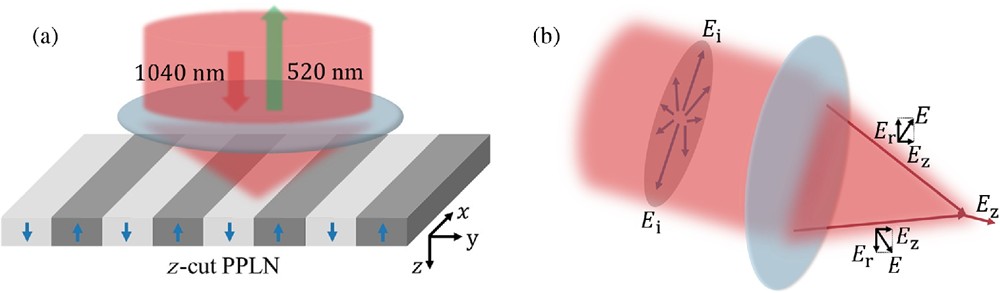 Visualization of domain structure in periodically poled lithium niobate ...