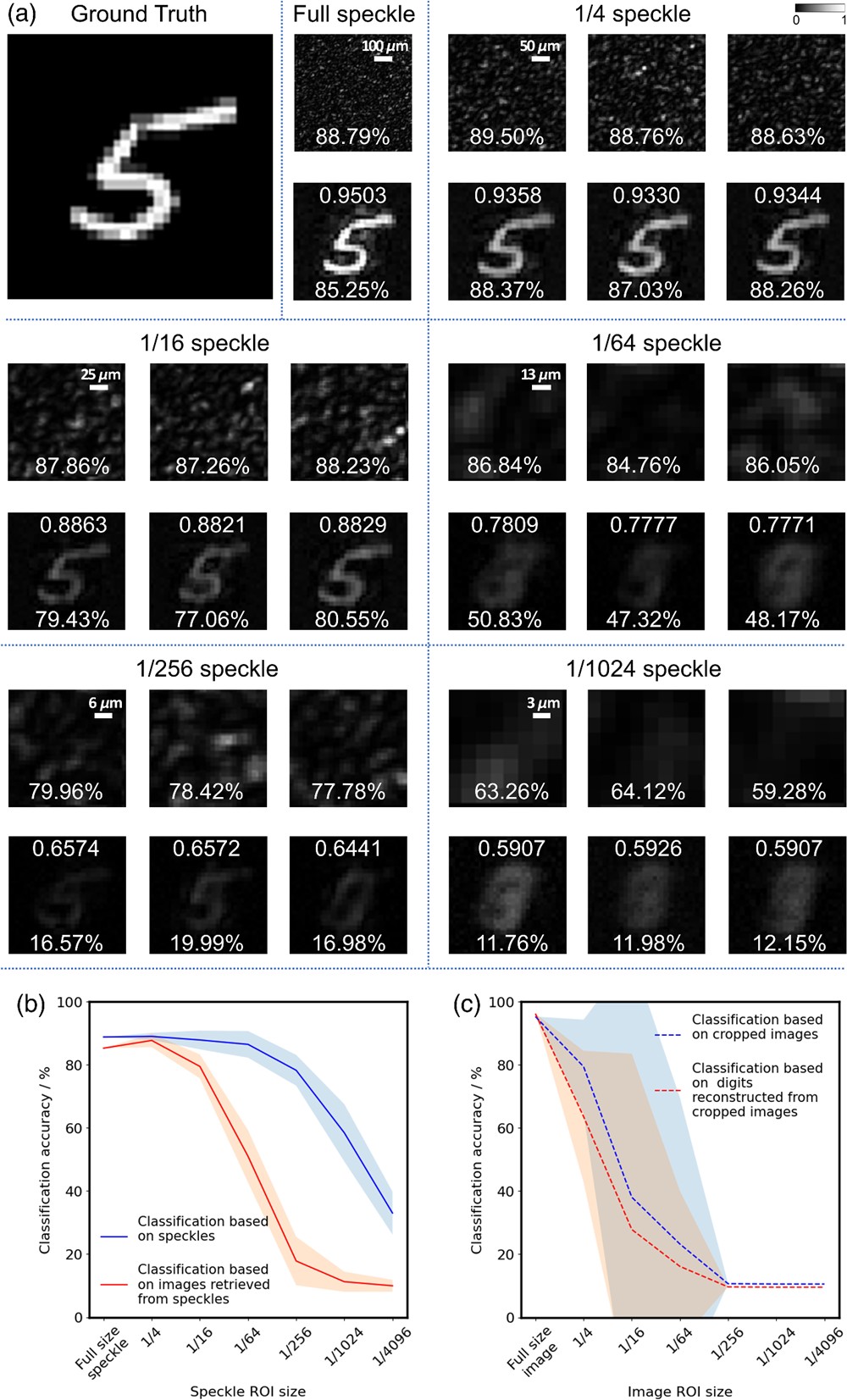 Speckle Transformer: direct classification through scattering media ...