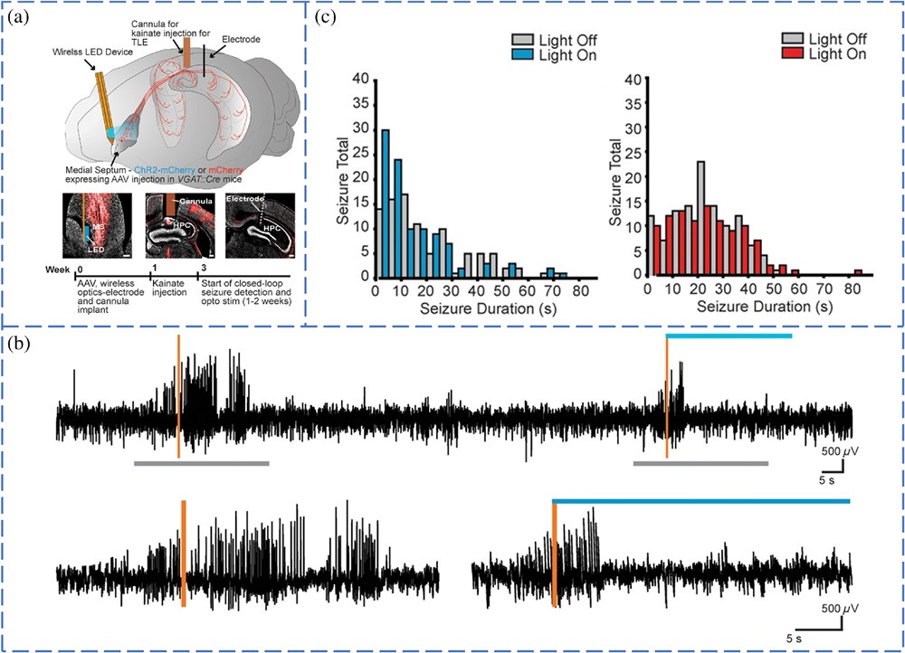 Optogenetic technology: breakthroughs and challenges from basic ...