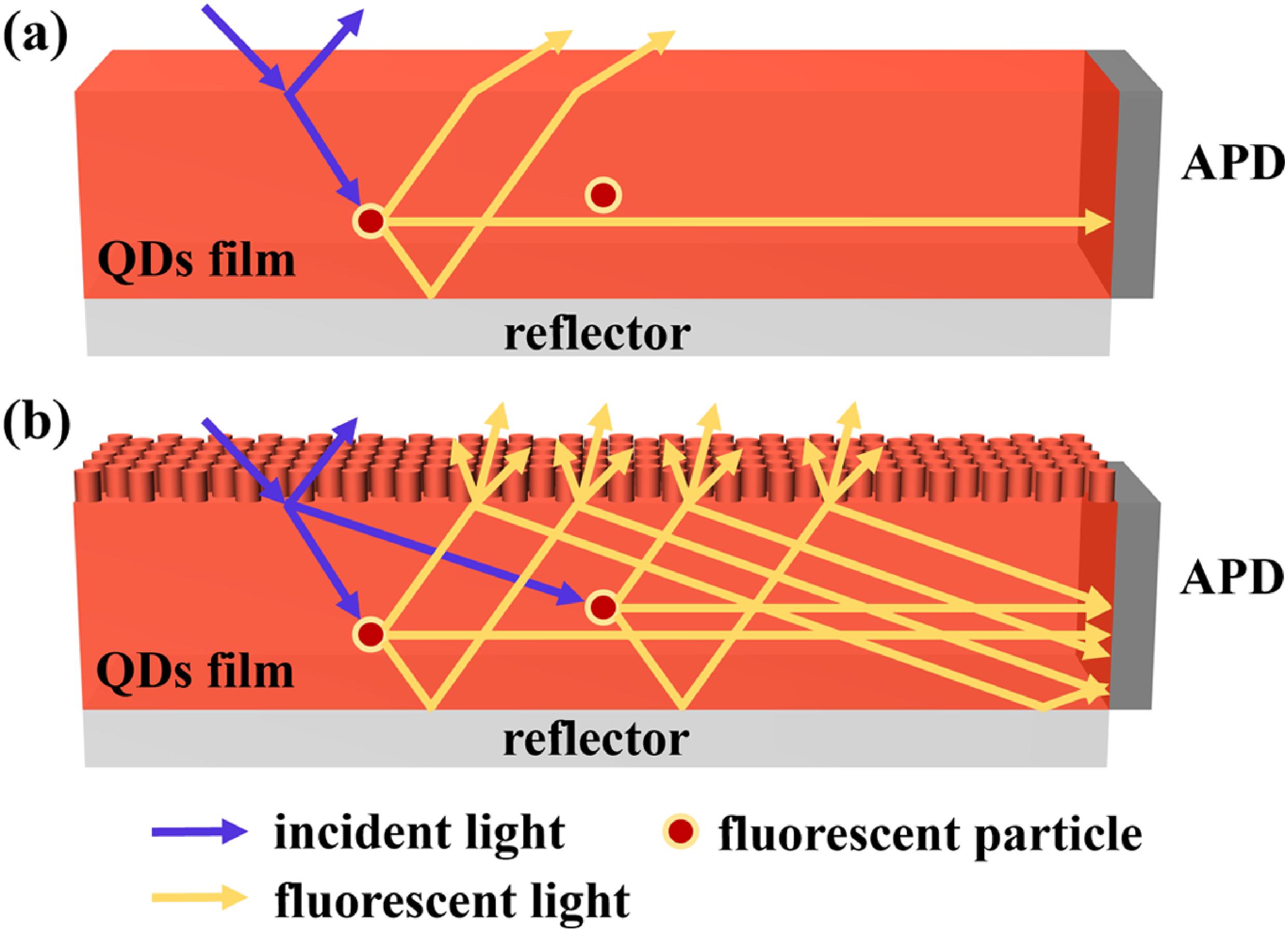 Enhancing fluorescent antenna signal transmission gain using patterned ...