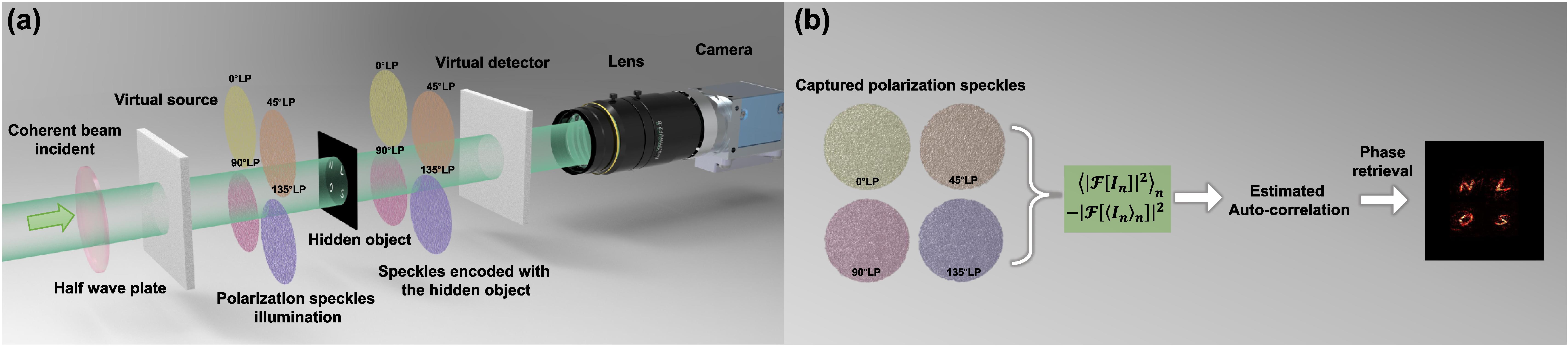 High-resolution non-line-of-sight imaging via polarization differential correlography | Chinese ...