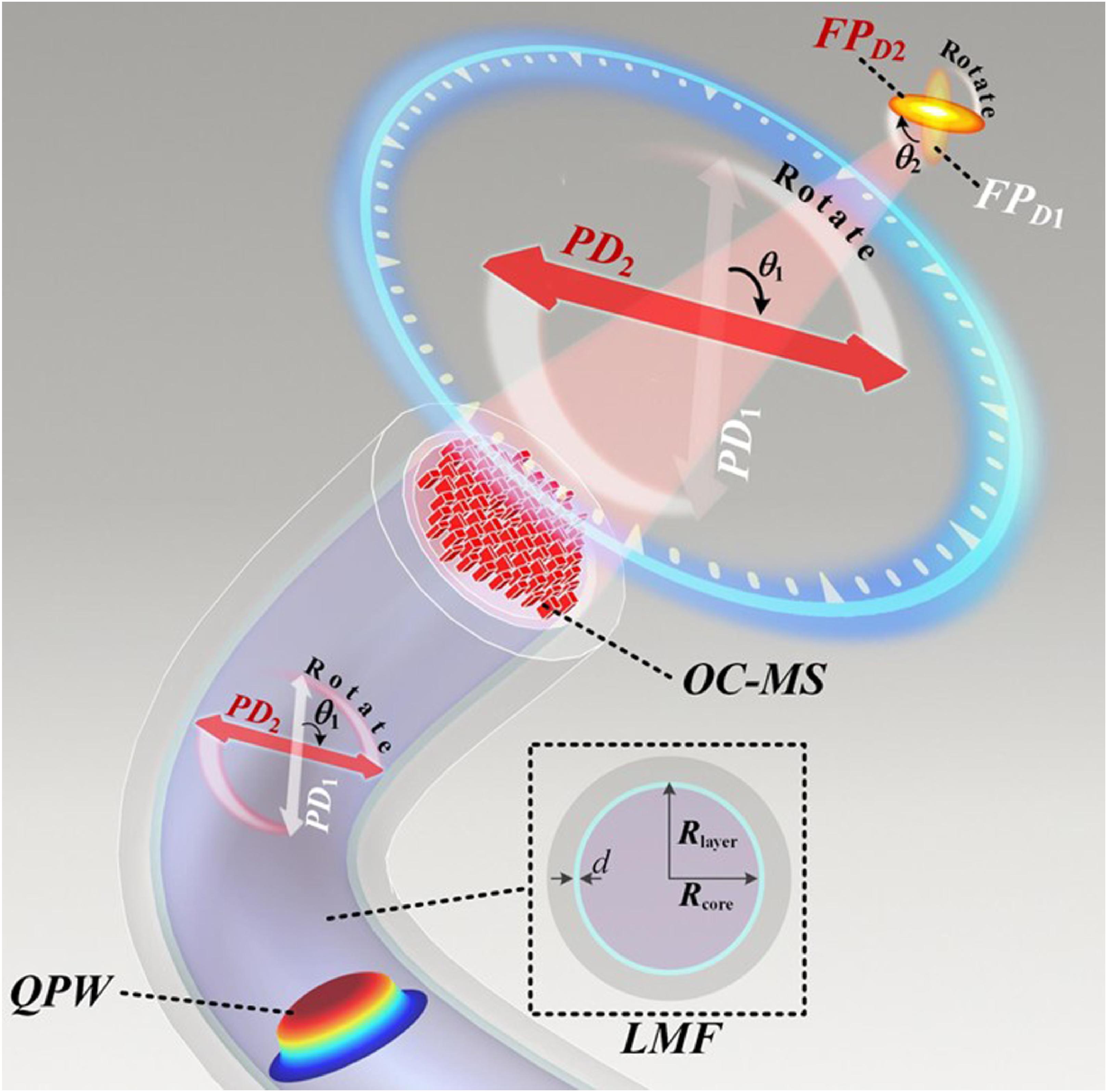 On-fiber dielectric metasurface for dynamic polarization manipulation ...