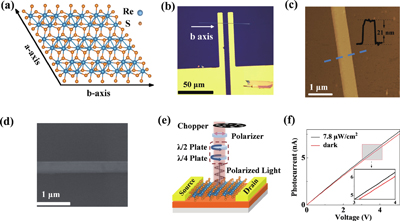 Broadband full-stokes polarimeter based on ReS2 nanobelts | Journal of ...