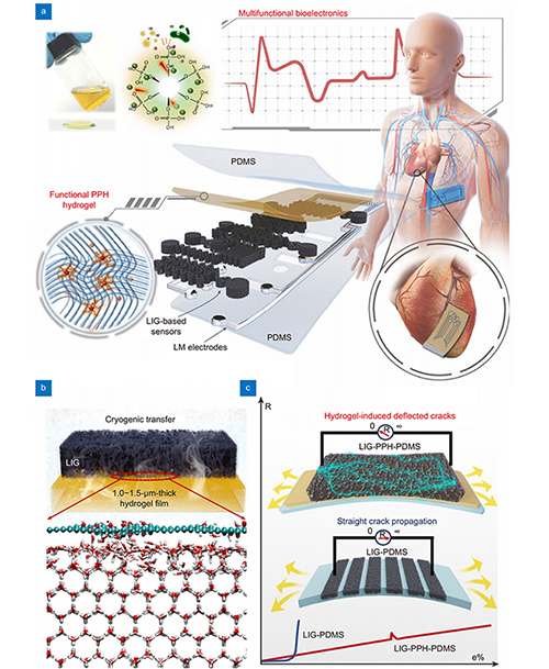 Laser-induced stretchable bioelectronic interfaces by frozen ...