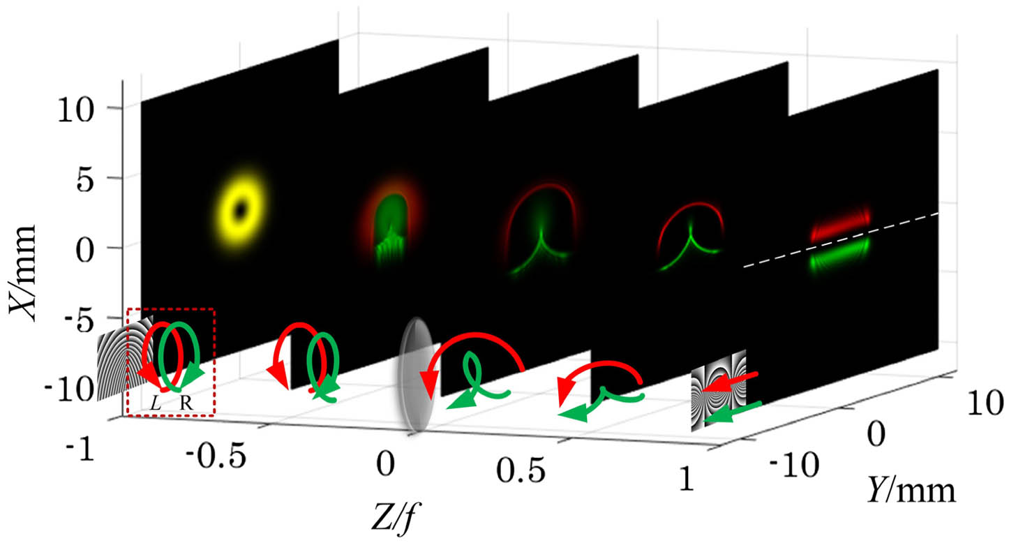 Experimental realization to efficiently sort vector beams by ...