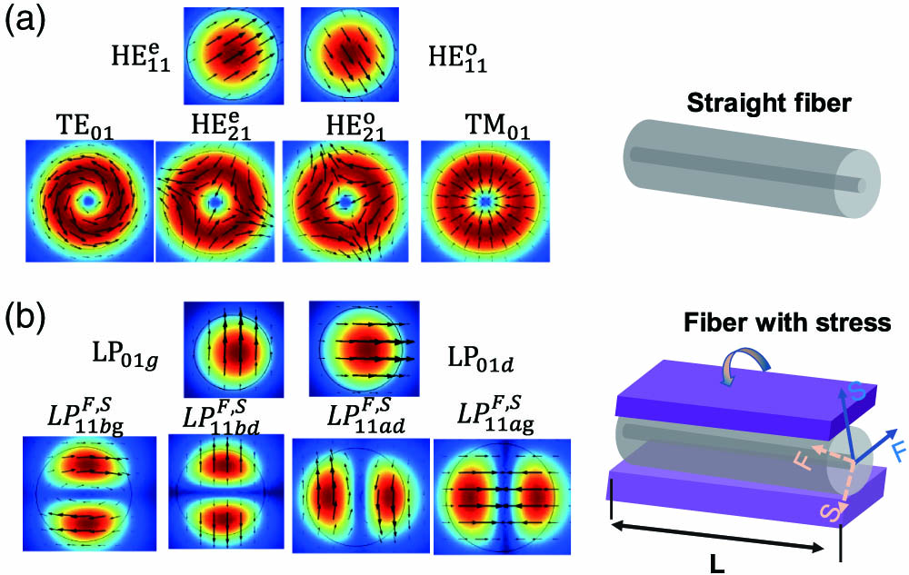 Cylindrical Vector Beam Fiber Laser - The Best Picture Of Beam