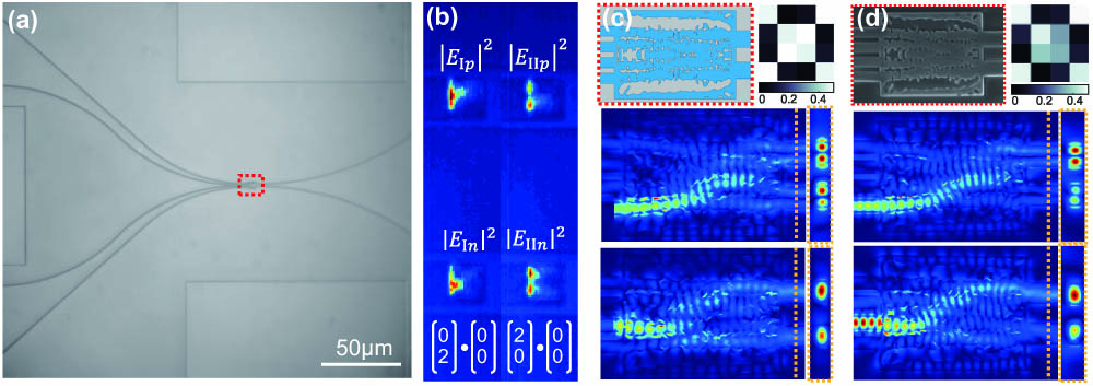 Mode-multiplexed photonic integrated vector dot-product core from ...