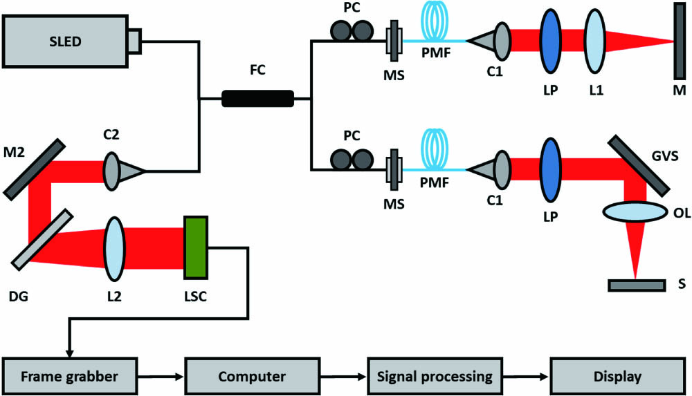 Polarization-insensitive optical coherence tomography using ...