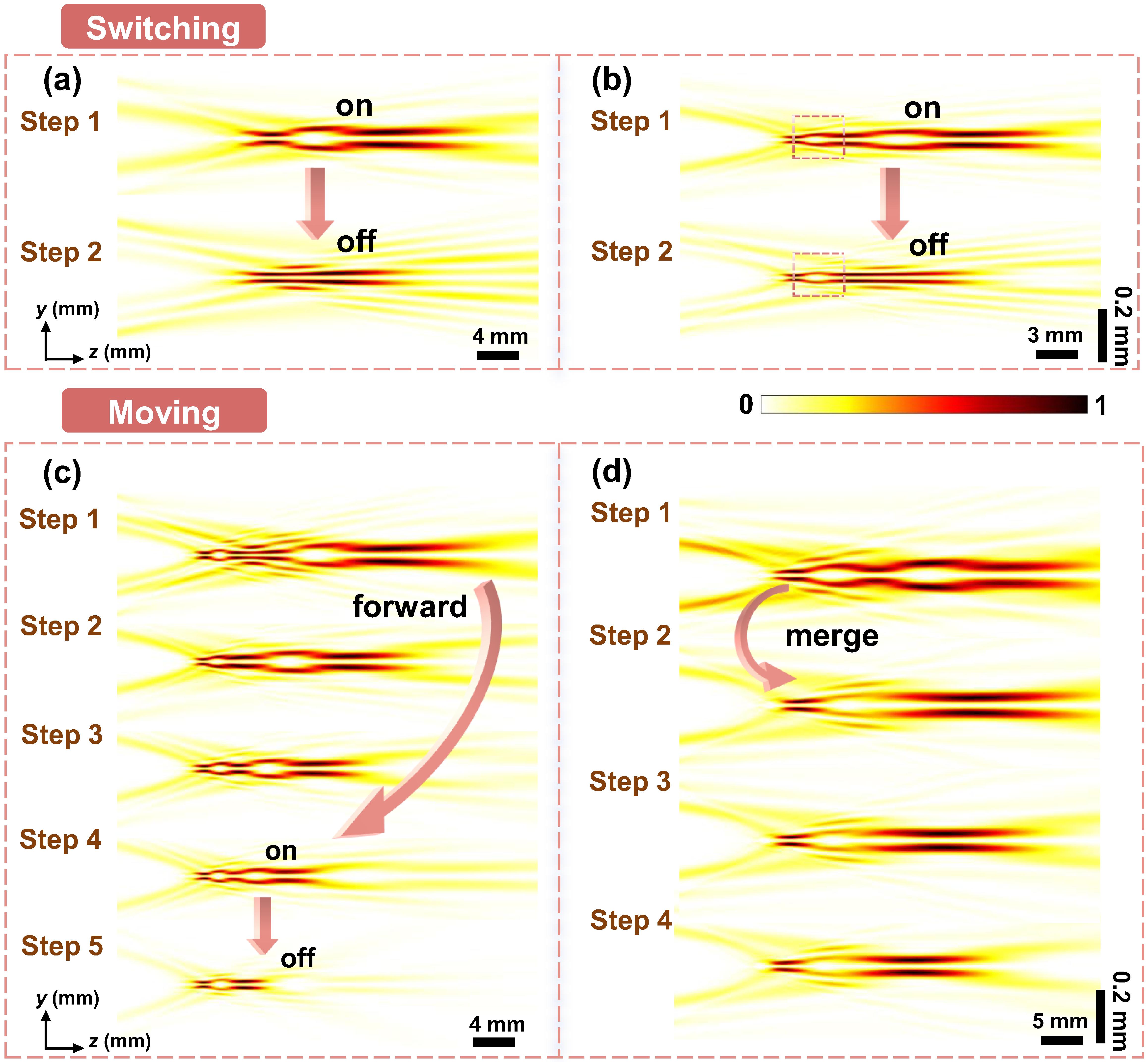 Dynamic holographic optical bottles for selective manipulation and ...
