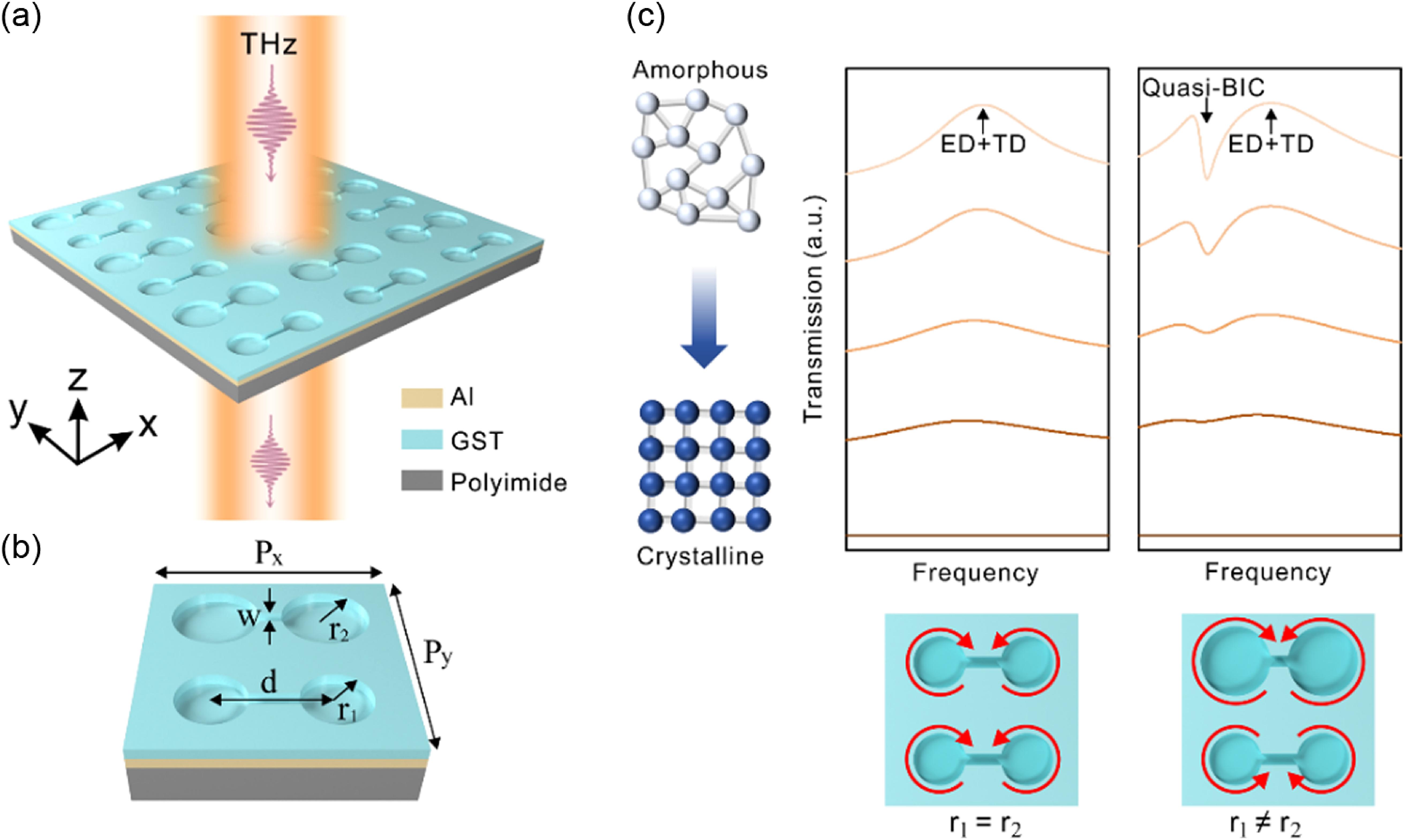 Active control of the toroidal dipole and quasi-bound state in the ...