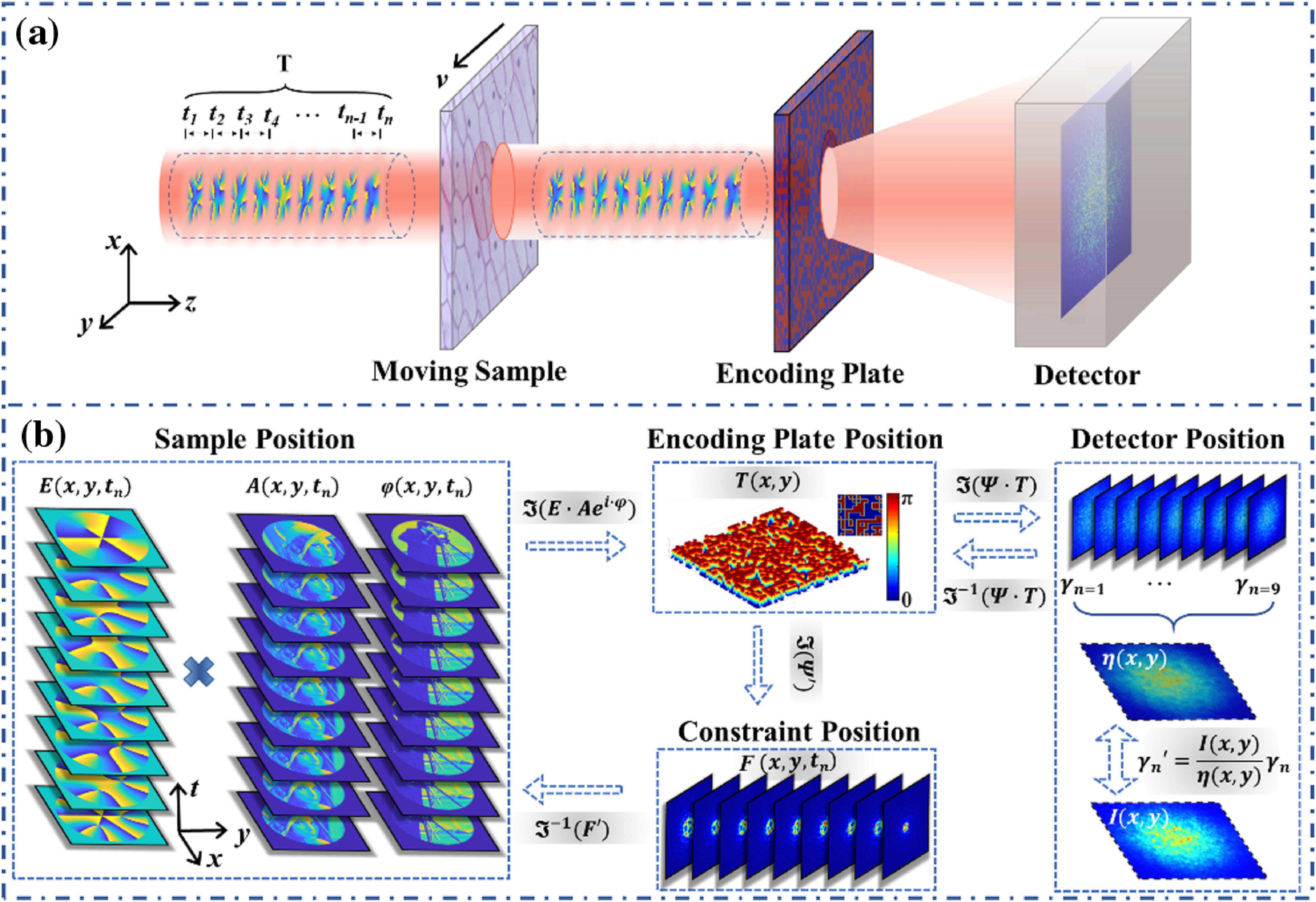 Single-shot common-path encoded coherent diffraction imaging with OAM multiplexing | Photonics ...