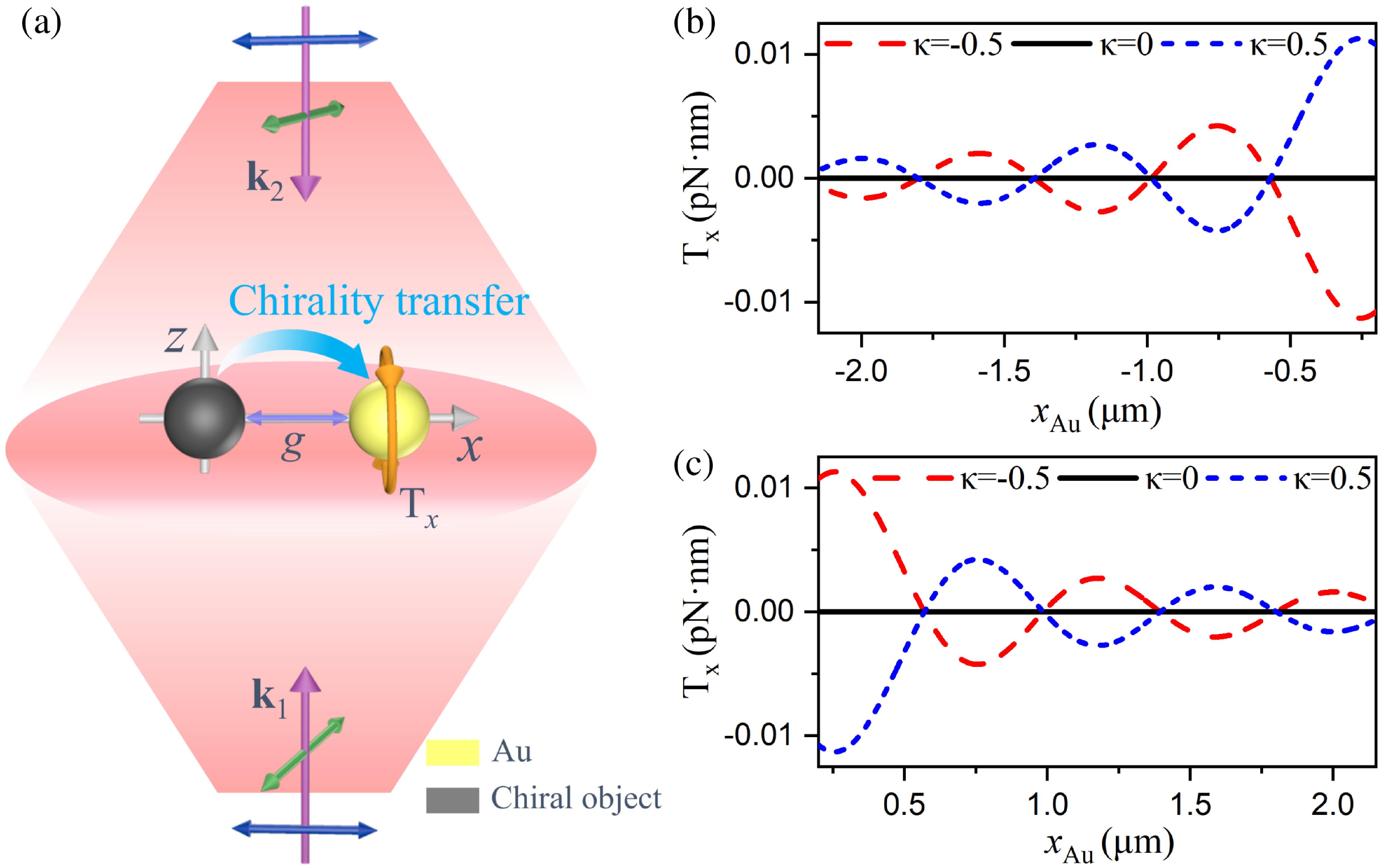 Chirality-assisted local transverse spin angular momentum transfer for enantiospecific detection ...